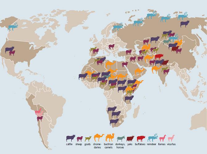 Fascinating "Meat Atlas" Maps Chronicle The World's Meat Production and ...